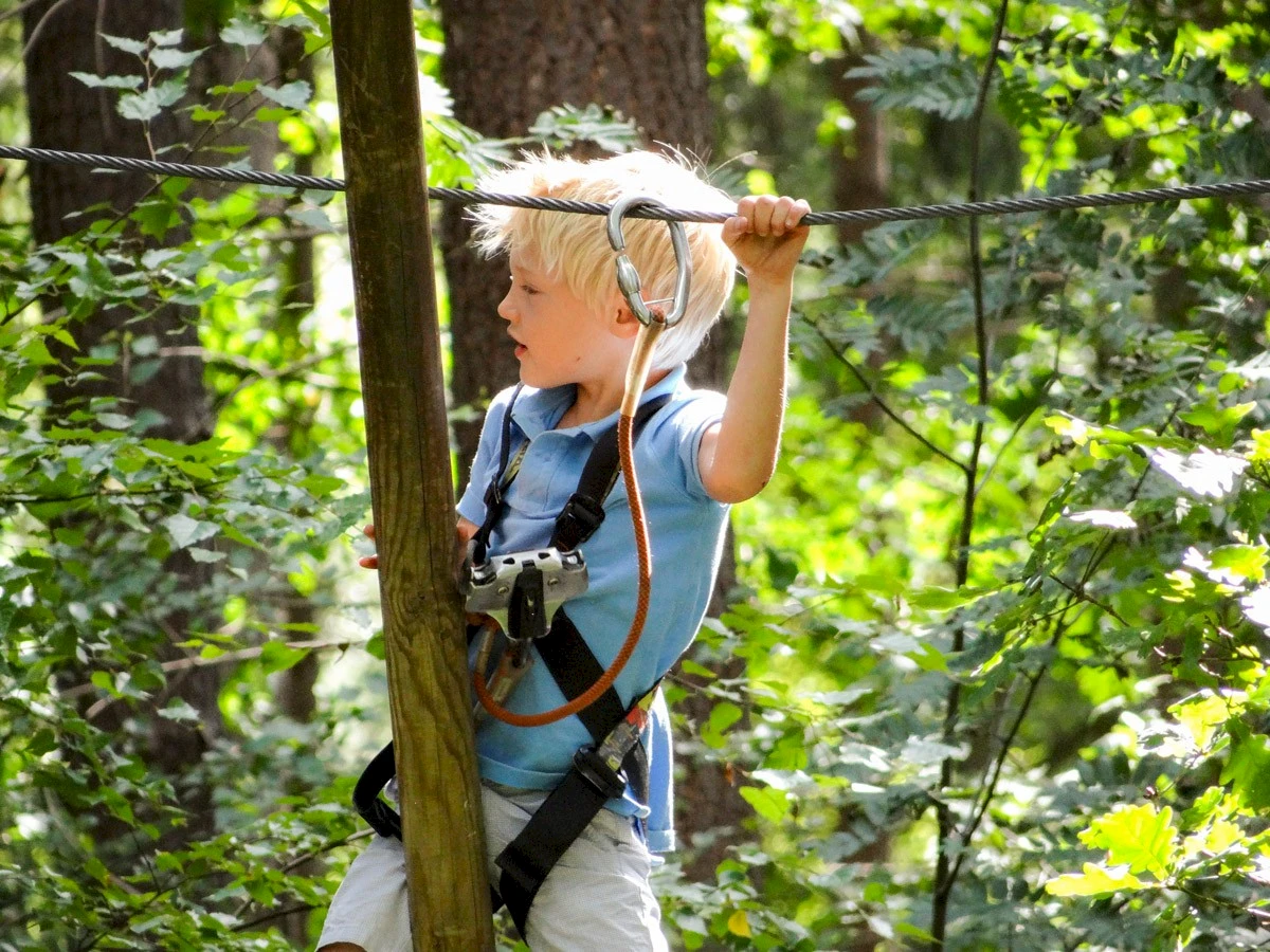 Klimbos Gooi Eemland - Lage Vuursche